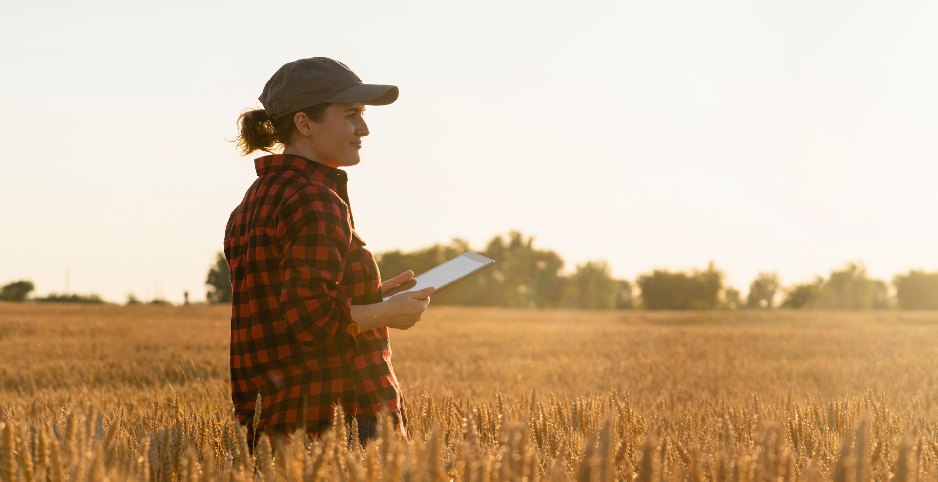 Crop and Livestock - Marsh McLennan Agency Northwest