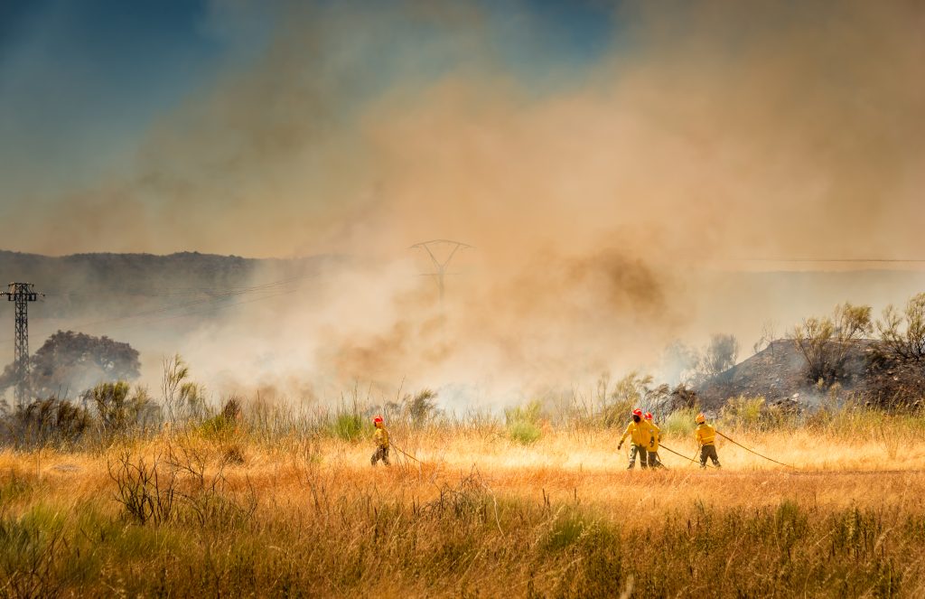 How to Prep Your Home for Wildfire Season - Marsh McLennan Agency Northwest